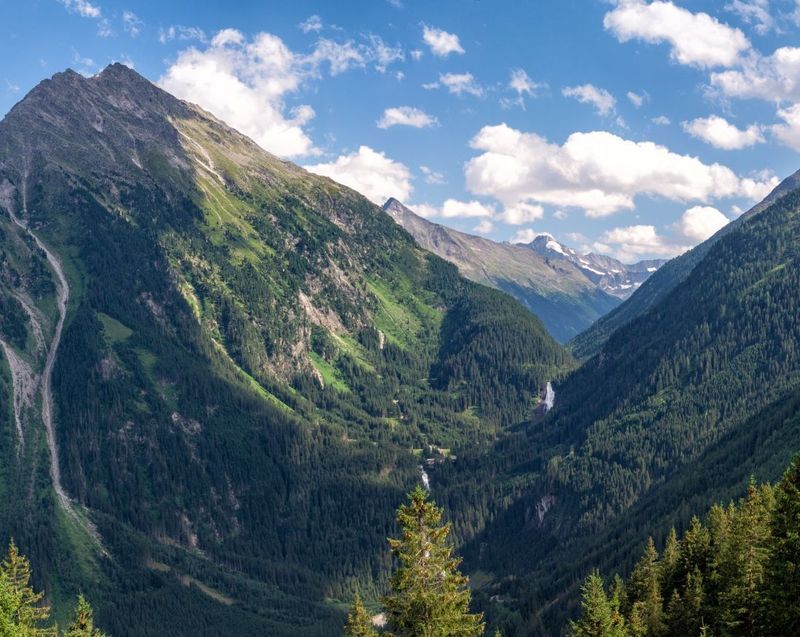 Elevate - Elite Performance Coaching